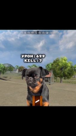 🤣когда твой друг подсосал киллы,тем временем твои тиммейты: 😂👍#freefire #shortsfreefire #фрифаер