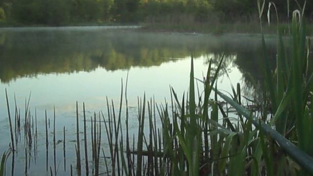 НА РЫБАЛКЕ УТРО ИКРОМЁТ