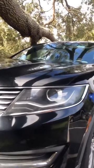 счастливчик