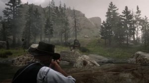 Перестрелка в горах Red Dead Redemption 2|VLA