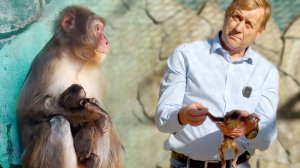 Ей бы жить, но малышка умерла! Рита носила бездыханное тельце дочки и не хотела отдавать! До слёз!
