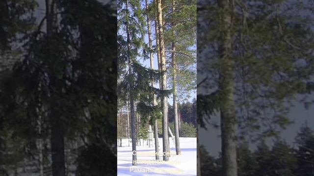 Сознавание себя и неведение себя Рамана Махарши