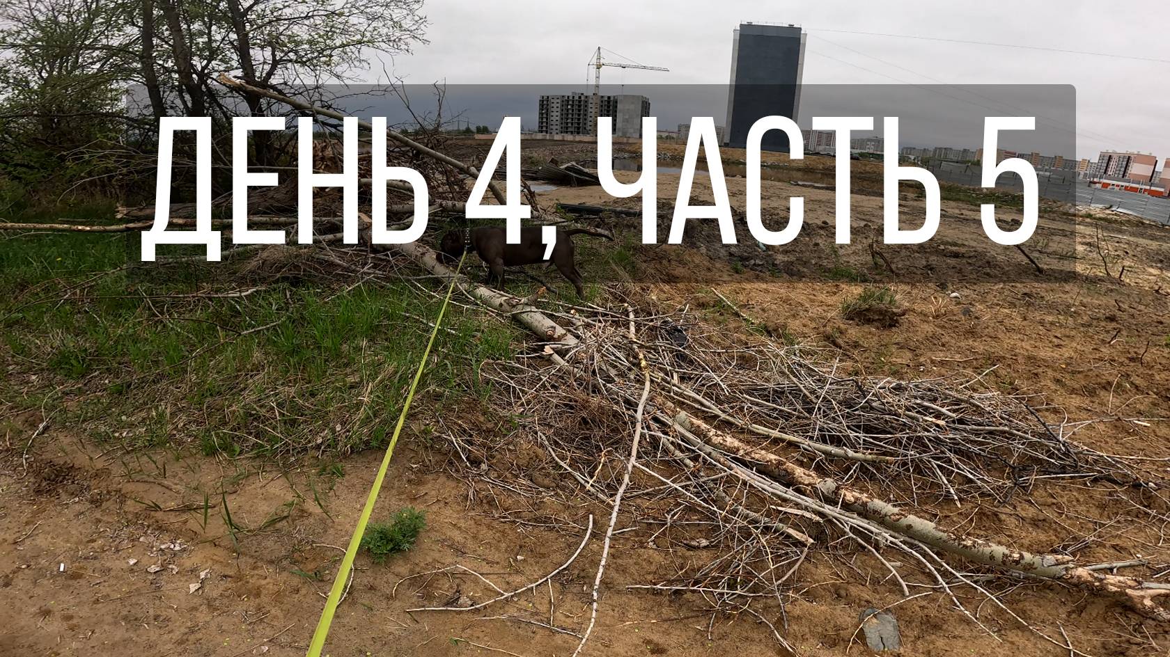 День 4, часть5