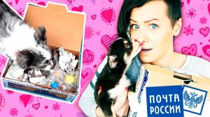 🎬🎁 Подарки от зрителей и проделки щенка — большой распаковочный влог! 🐶🎉