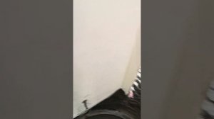 Механизированная полусухая стяжка - бетонируем пол одноэтажного дома