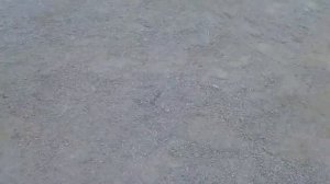 Выставка пожарной техники в городе Артеме