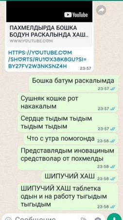 прикол из тиктока #shorts #whatsapp