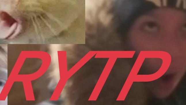 Дима игроман ньют