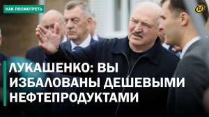 Лукашенко: ОНИ ОЧУХАЮТСЯ, ПРИДУТ К НАМ! / Президент – о Европе, деревопереработке, топливе