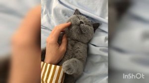 ТОП 5 САМИХ ЛУЧШИХ ПЕСЕН /💣 Эти песни ищут все✌️