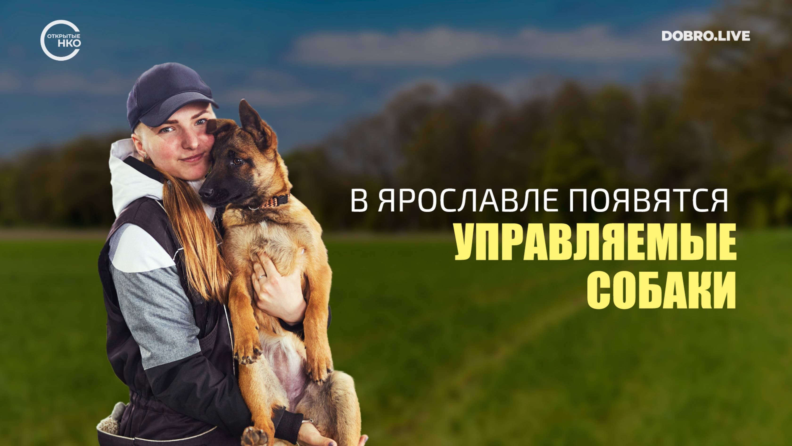 «Верность» сделает питомцев жителей Ярославской области послушными