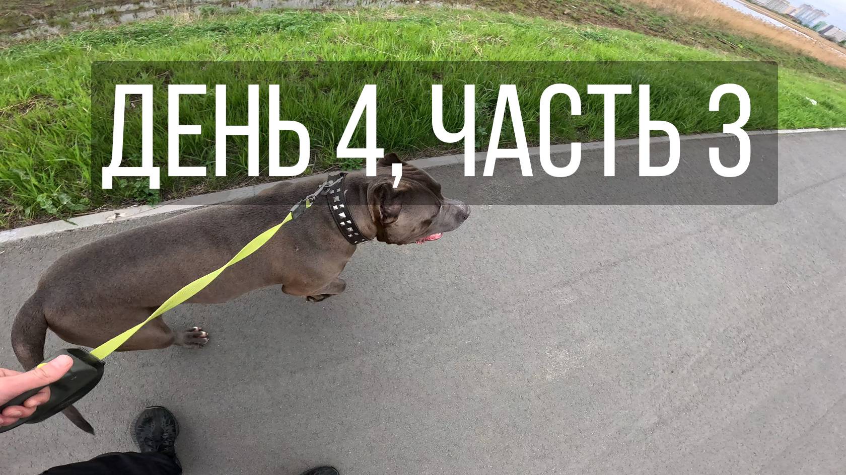 День 4, часть 3