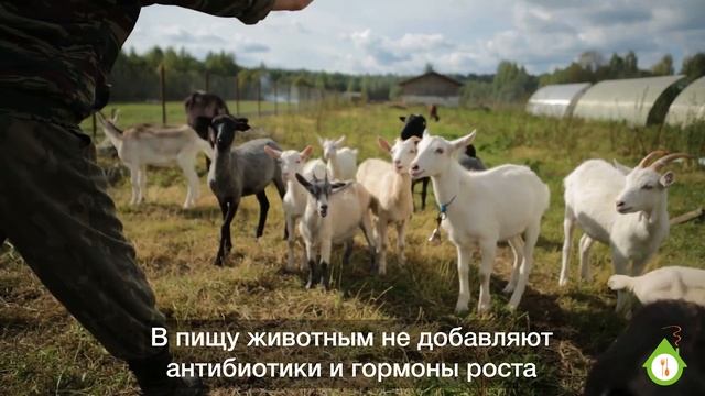 Что нужно знать об Ешь Деревенское?