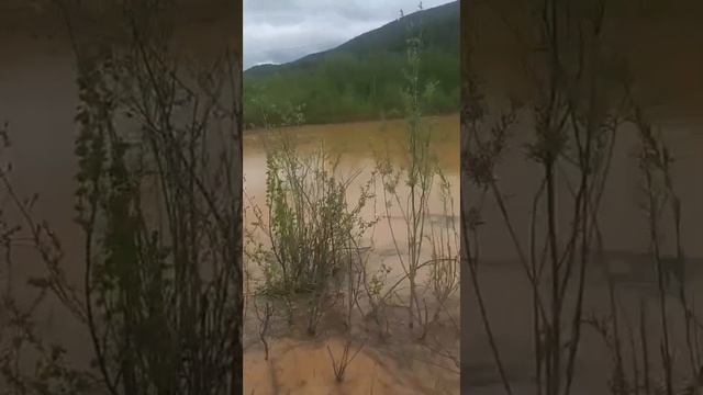Река сарала
