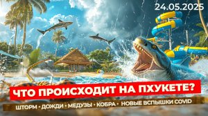 Опасности Пхукета 2025: штормы, змеи и вирусы — свежие новости с Таиланда