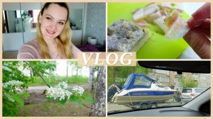🌿 ПРОСТО ВЕСЕННИЙ ВЛОГ