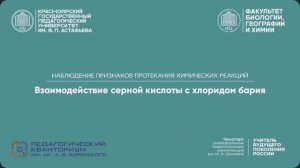 02. Взаимодействие серной кислоты с хлоридом бария/признаки протекания химических реакций/опыт