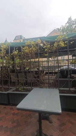 Тифлиский дворик