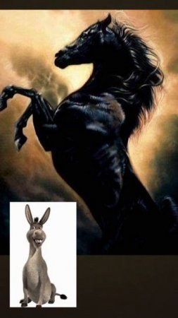 16 конь и осел