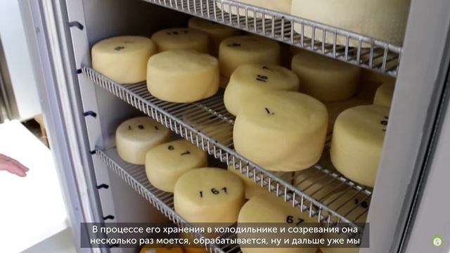 Фермеры "Ешь Деревенское". Выпуск 49. Виктория Храмцова