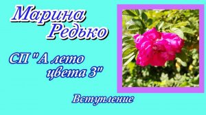 СП "А лето цвета 3" / Вступление