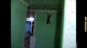 Приколы с котами и кошками для поднятия настроения!
