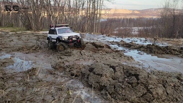 Toyota Land Cruiser in the spring forest (в весеннем лесу)