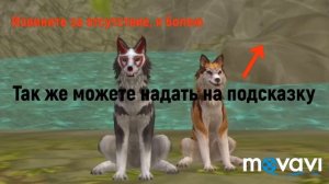 Какую тематику видео вы хотите?