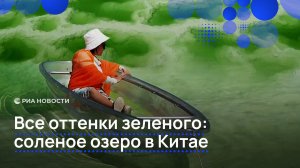 Все оттенки зеленого: соленое озеро в Китае