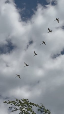 Вот и завершился учебный год 24/25! Желаю удачи на ОГЭ и ЕГЭ по математике! Хорошего лета!🌞