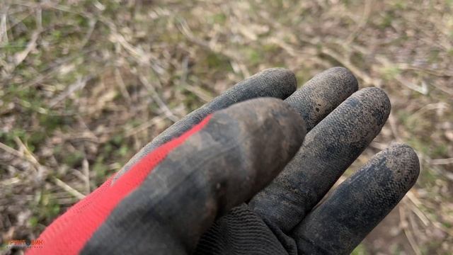 Коп в старых местах. Клещи нас облепили