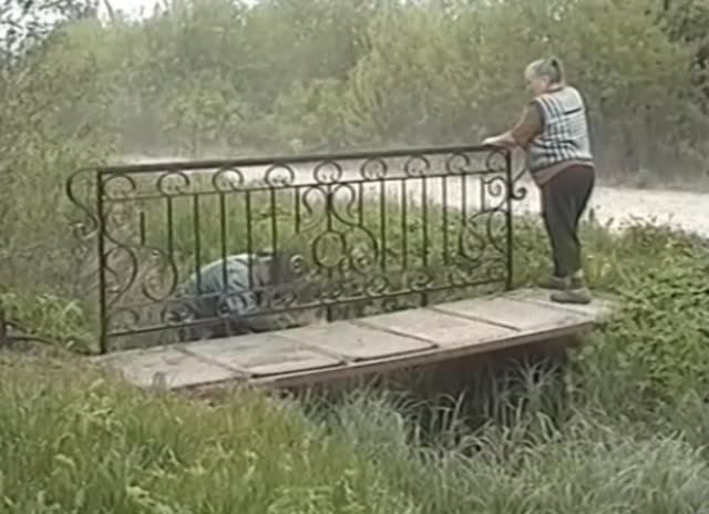 Ограждение для мостика