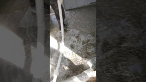 Черновая стяжка пола из пенобетона в Ярославле