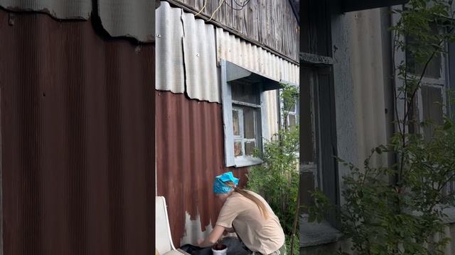 Хейт