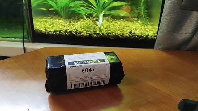 МА Избавился от дино бактерий.