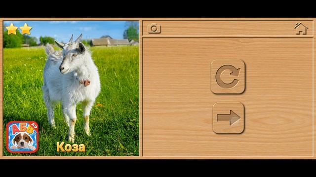 Развивающий мультфильм для детей  Пазлы  ( познавательный мультик для малышей).МУЛЬТФИЛЬМЫ