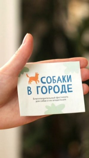 Уже скоро! Фестиваль «Собаки в городе»