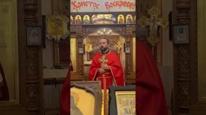 Проповедь отца Ильи в Неделю 6-ю по Пасхе, о слепом. Воскресенье 25 мая 2025 года
