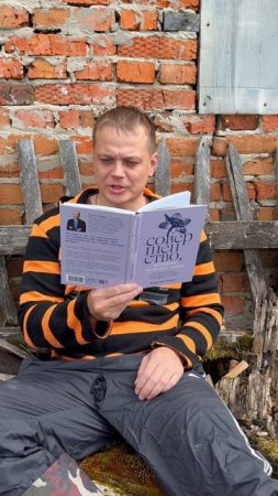Попросили посадить картошку