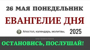 26 мая понедельник Евангелие дня 2025 с толкованием