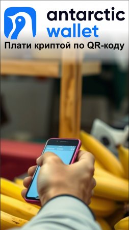 Бананы за крипту? Такое возможно, причем это не считется оплатой криптой. Криптокошелек ANTARCTIC