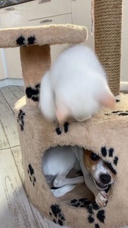 Эй ты чё, махаться будешь?