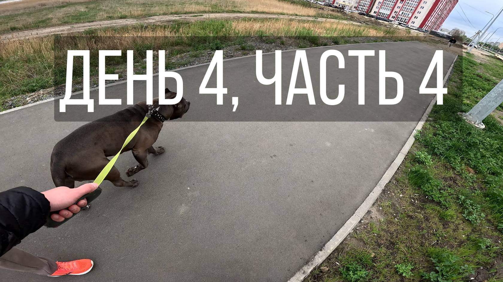 День 4, часть 4