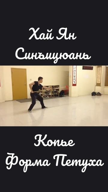 Хай Ян. Син И. Копье Форма Петуха. Короткая Форма