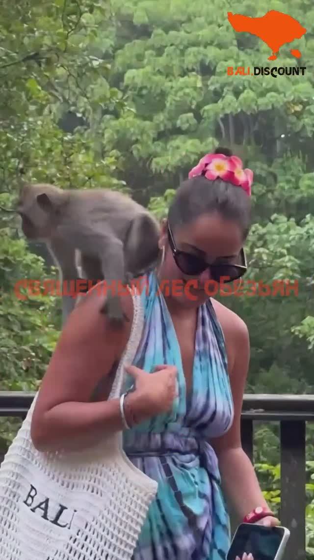 Лучшее на Бали #1