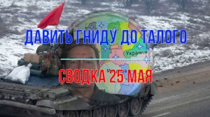 Давить гниду! Сводка 25 мая