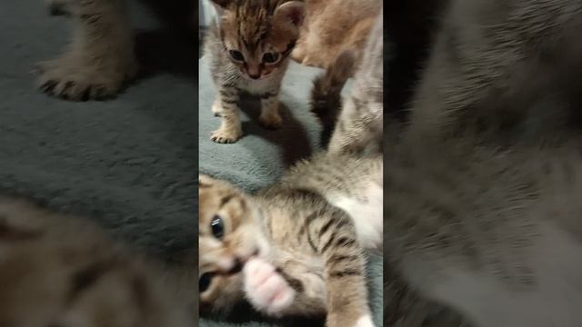 VID_20250523_185124