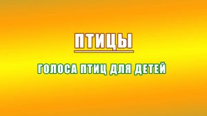Птицы для детей. Изучаем голоса птиц с детьми. Развивающее видео. Окружающий мир. Природа.