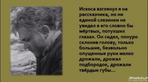 Юбилей М. Шолохова