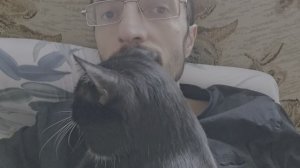 Обнимашки с котом Феликсом